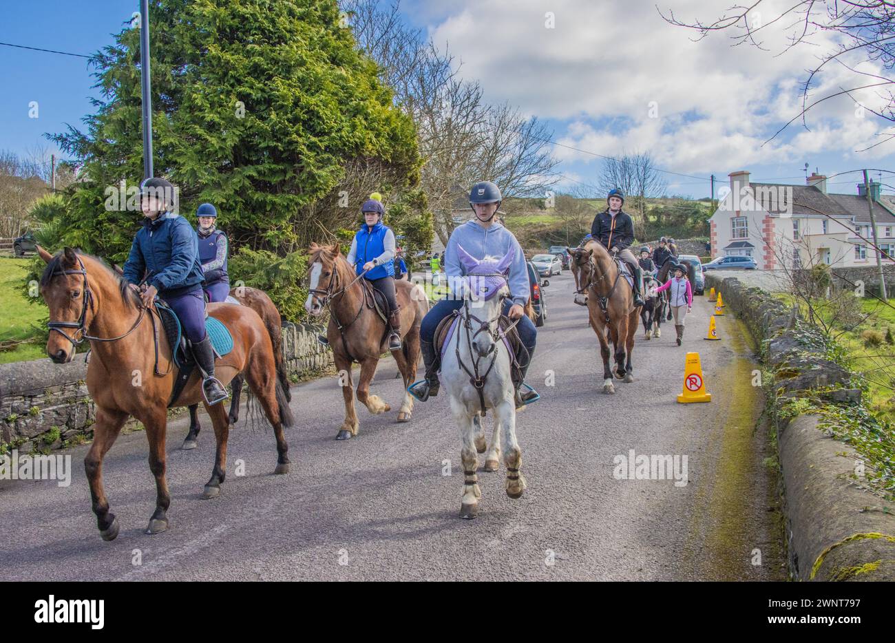 Ardfield cheval hi-res stock photography and images - Alamy