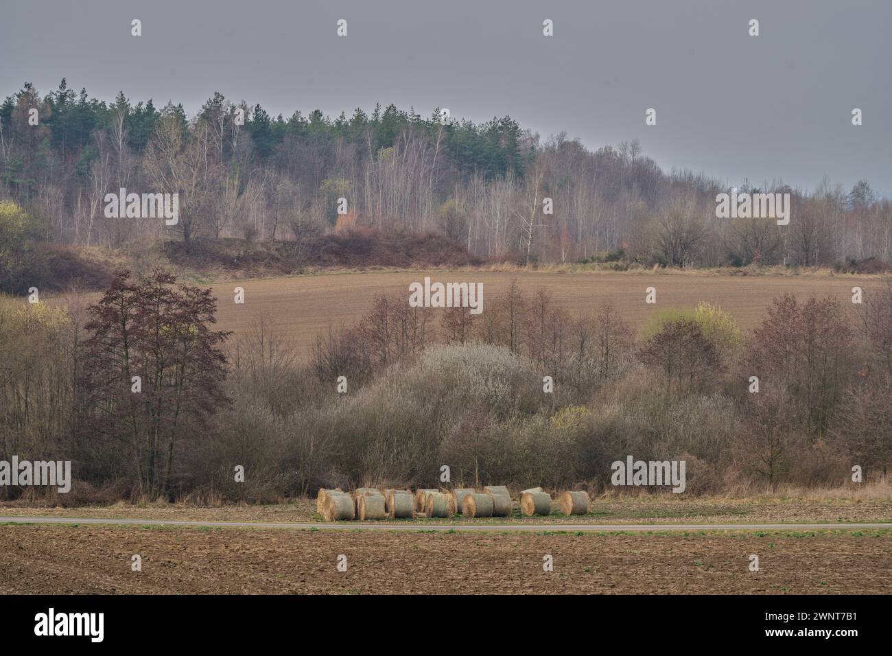 Early spring rural landscape with green germinating crpos at the foot ...