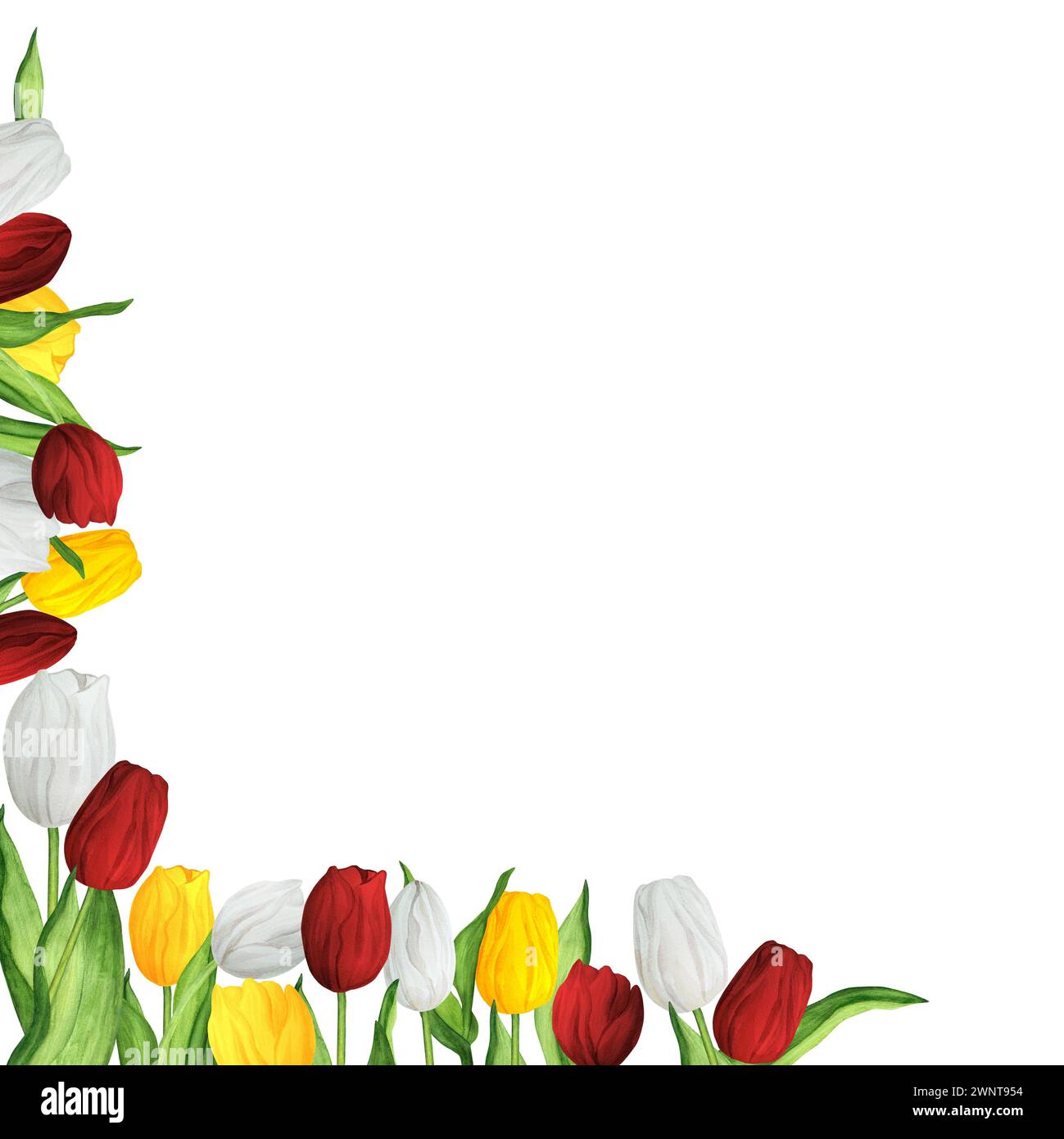 Hand-drawn watercolor illustration. Left lower corner with colorful red ...