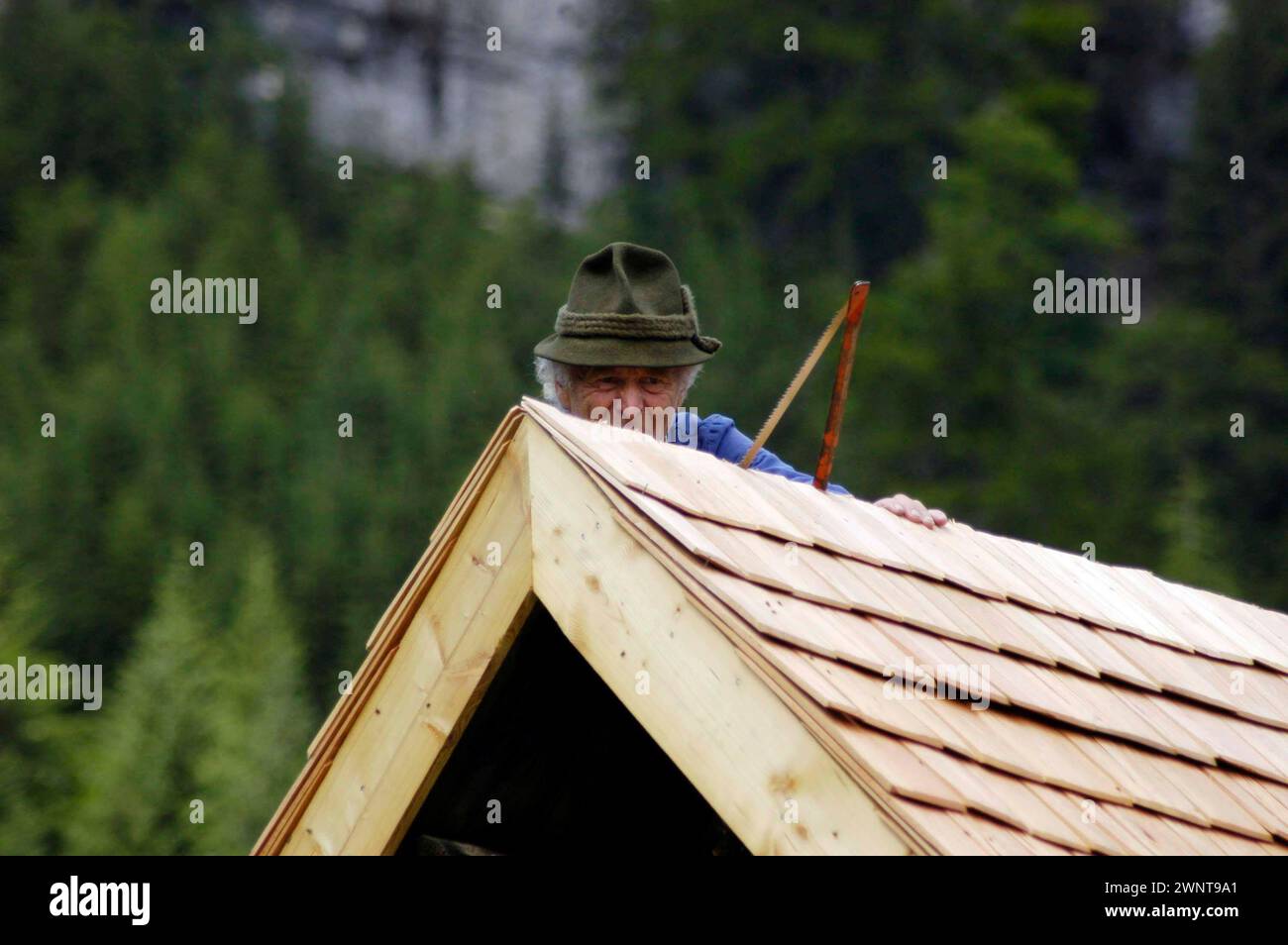 wooden roof shingles on a house, construction with natural materials ...