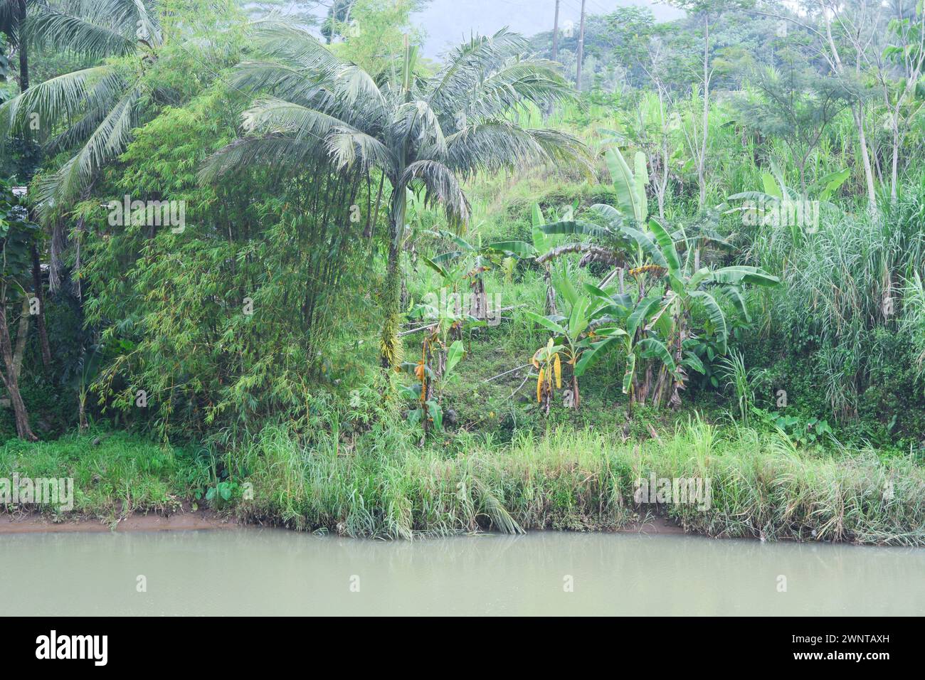 A fast-flowing stream and dramatic lenticular clouds against a dark sky ...
