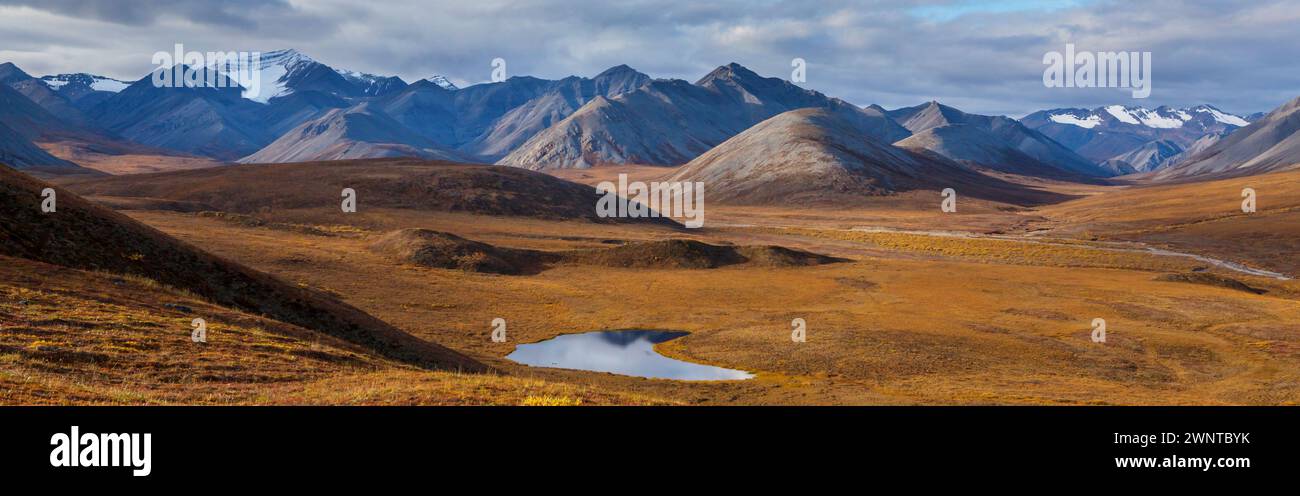 Tundra landscapes above Arctic circle Stock Photo - Alamy
