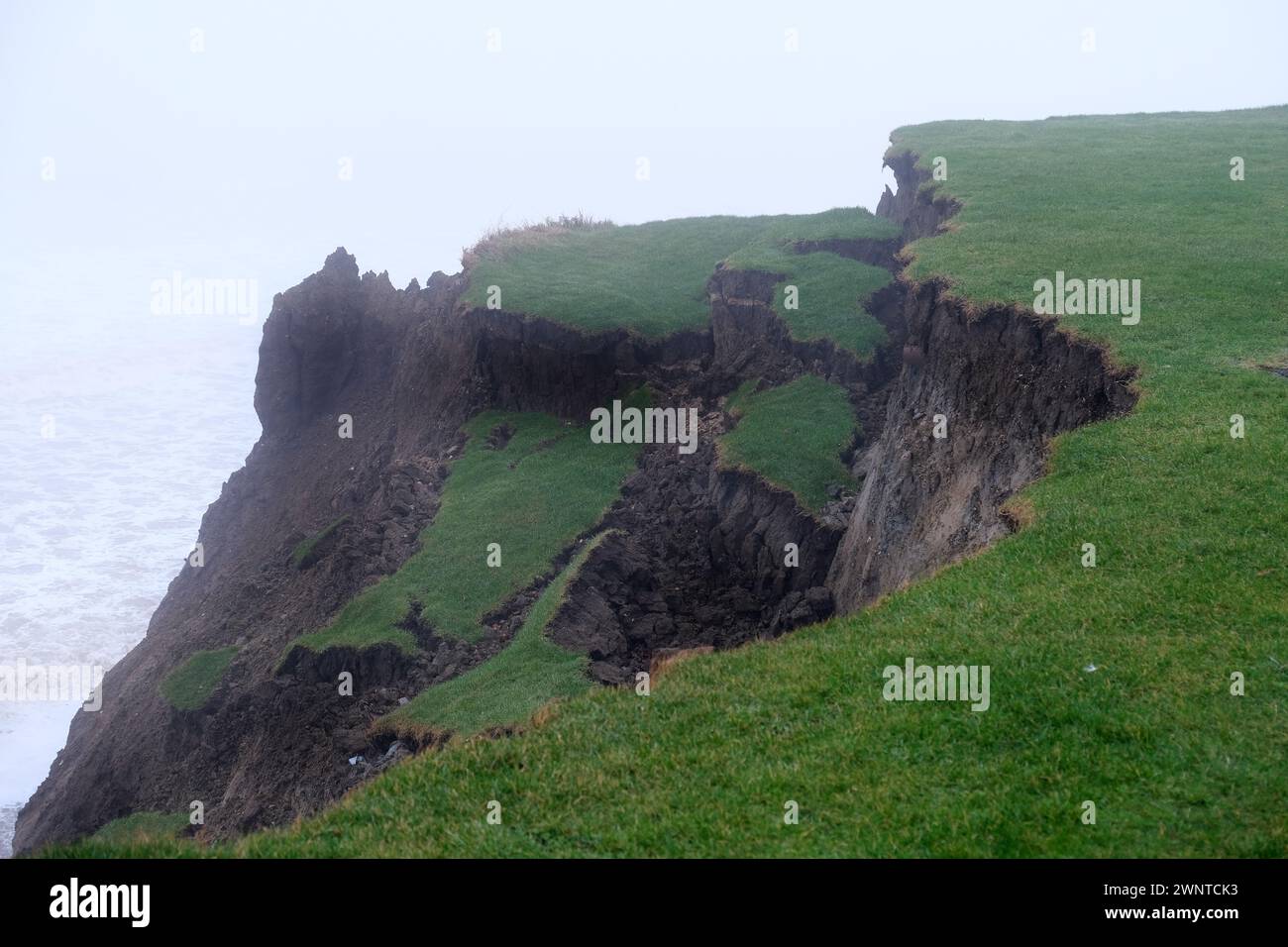 Soft glacial clay cliff erosion by sea. Yorkshire, UK Stock Photo - Alamy