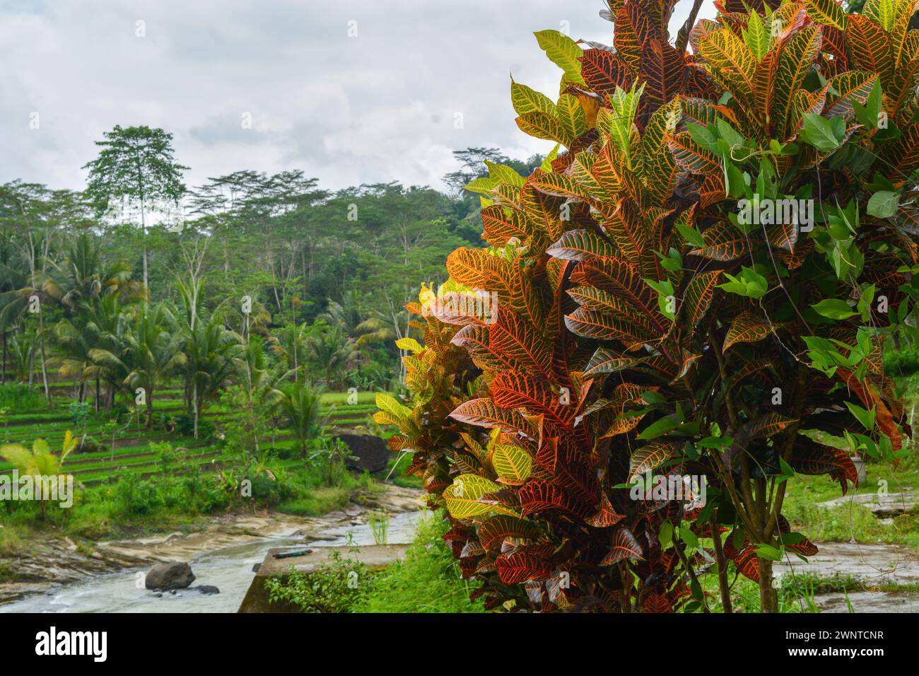 A fast-flowing stream and dramatic lenticular clouds against a dark sky ...