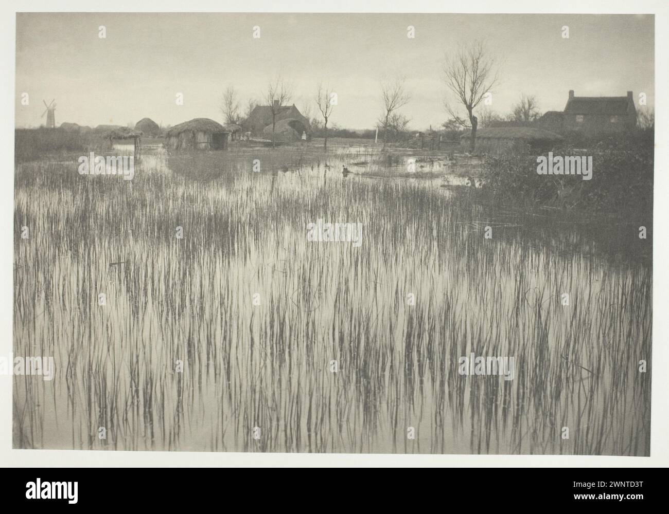 A Rushy Shore 1886 Artist: Peter Henry Emerson English, born Cuba, 1856 ...