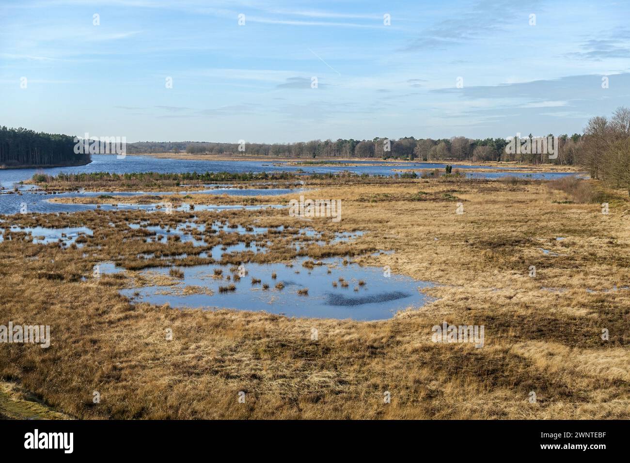 Dwingelderveld national park hi-res stock photography and images - Alamy