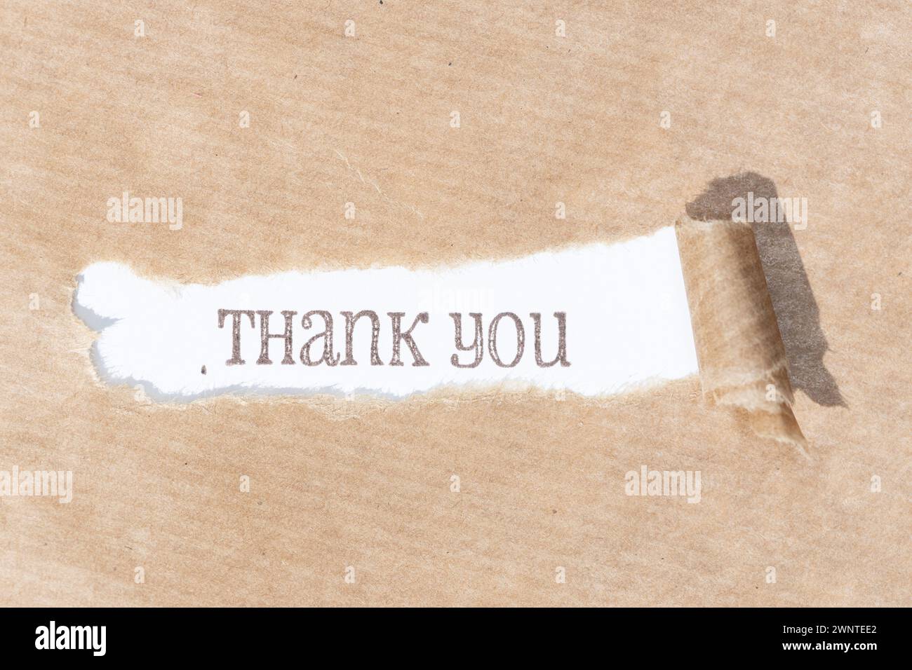 Thank you message. Brown paper torn stripe with text on white paper ...
