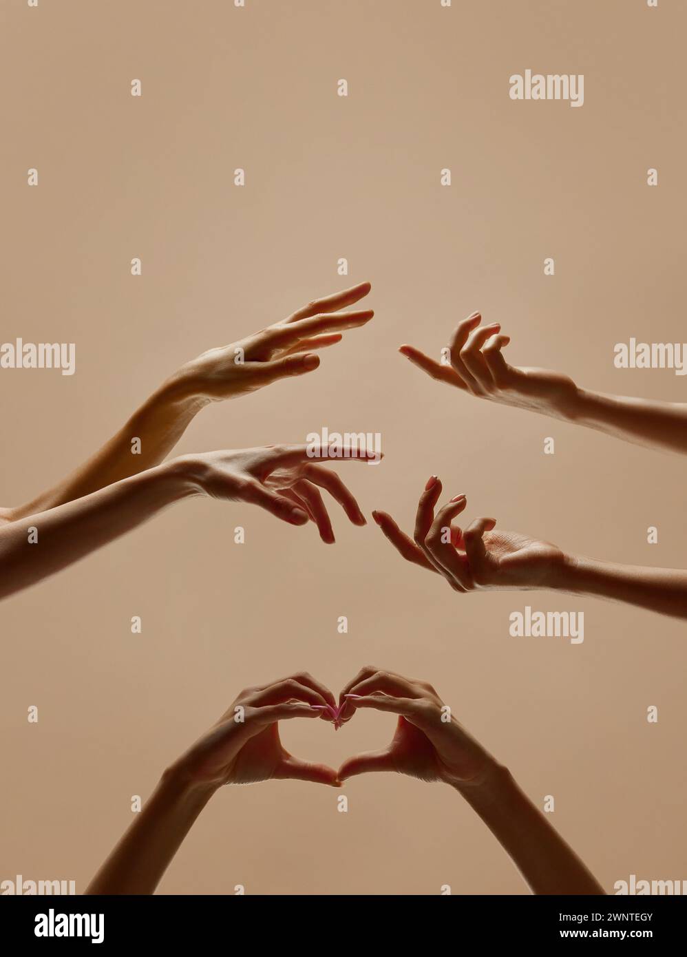 Human touch and love. Female hands reaching to each other to touch and ...