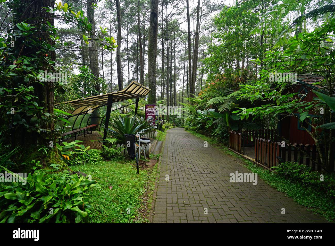 Cikole hi-res stock photography and images - Alamy