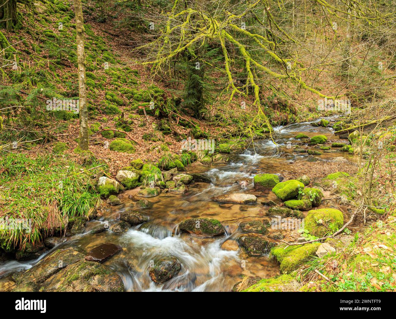 Allerheiligen Waterfalls in Oppenau in the Black Forest Stock Photo - Alamy