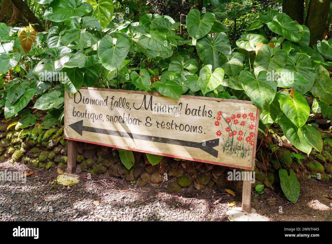 Diamond Waterfall and Botanical Garden Soufriere, Saint Lucia, West ...