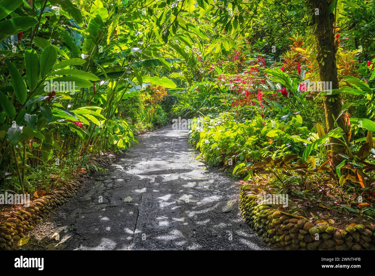 Tropical Rainforest Diamond Waterfall and Botanical Garden Soufriere ...