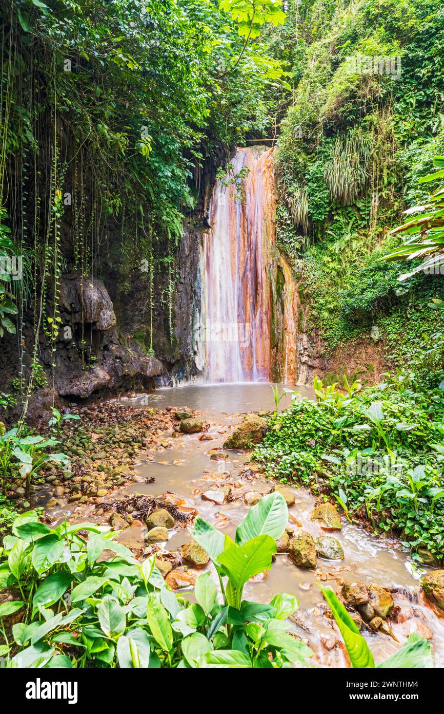 Diamond Waterfall and Botanical Garden Soufriere, Saint Lucia, West ...