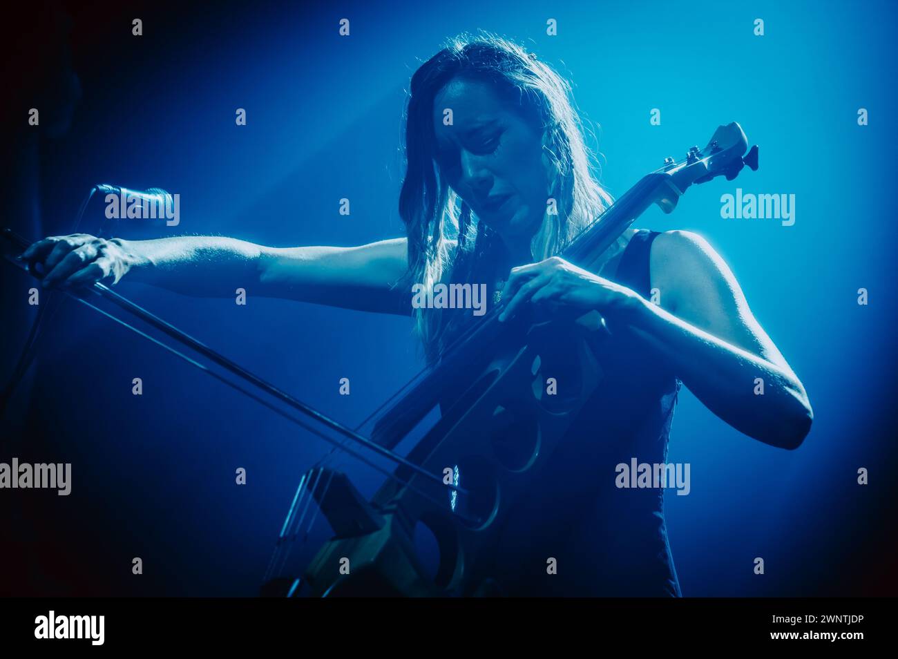 Jo quail musician hi-res stock photography and images - Alamy