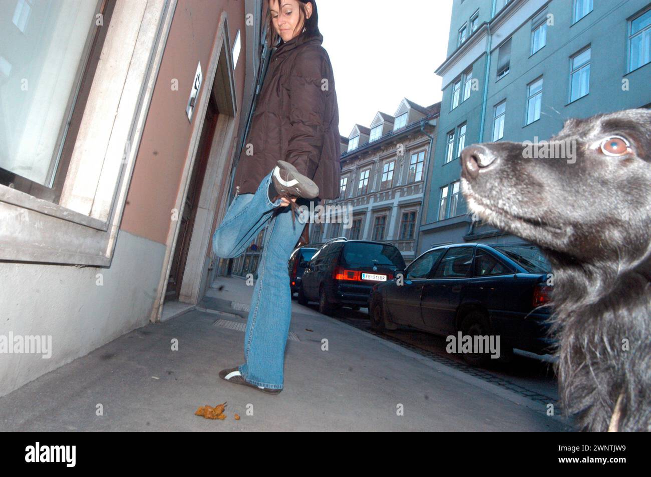 Dog feces environmental pollutant hi-res stock photography and images ...