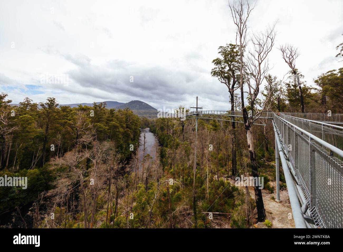 Tahune Airwalk landscape around the Huon River on a cloudy summer's day ...