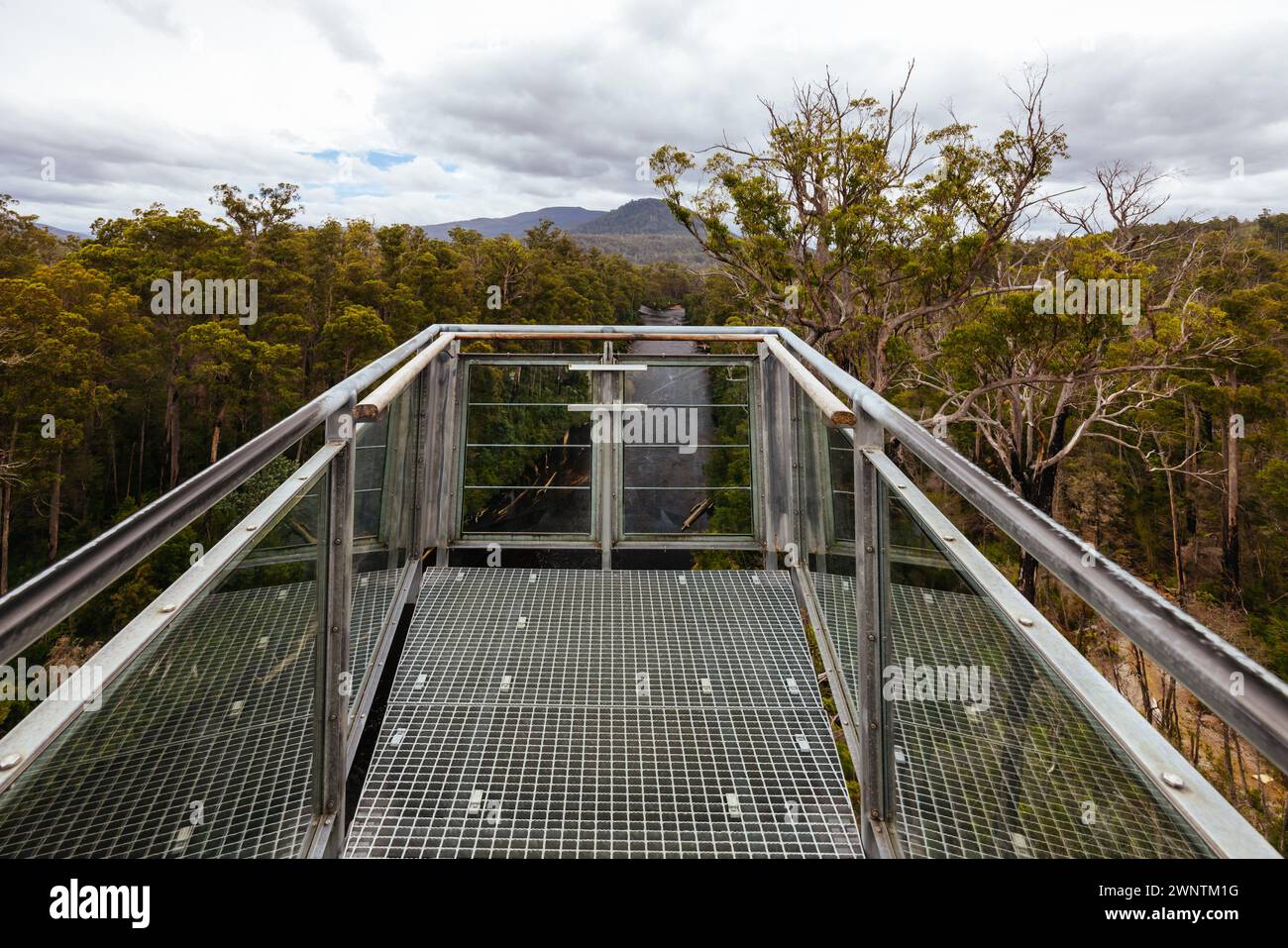Tahune Airwalk landscape around the Huon River on a cloudy summer's day ...