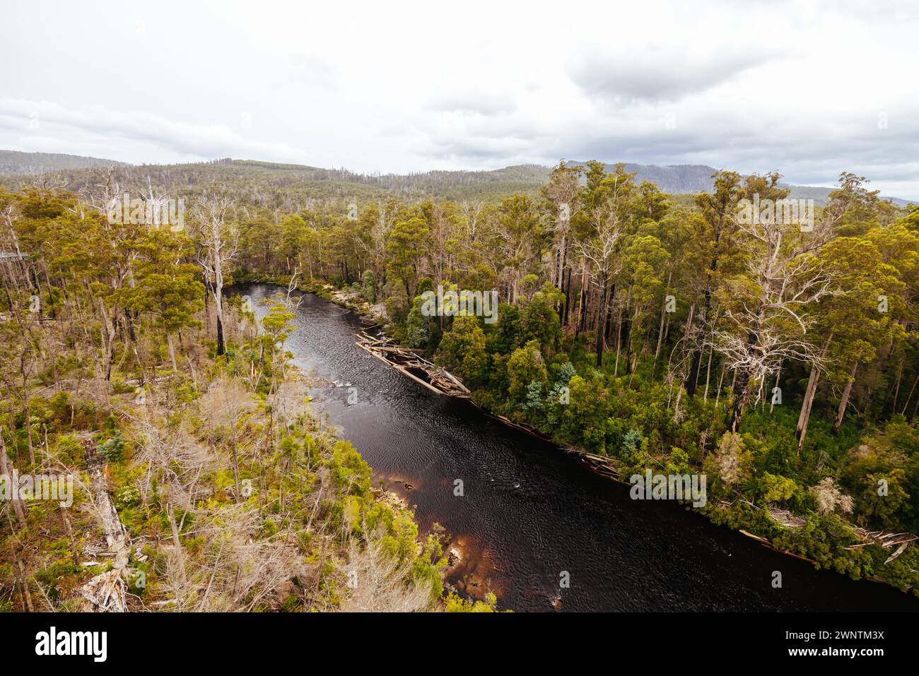 Tahune Airwalk landscape around the Huon River on a cloudy summer's day ...