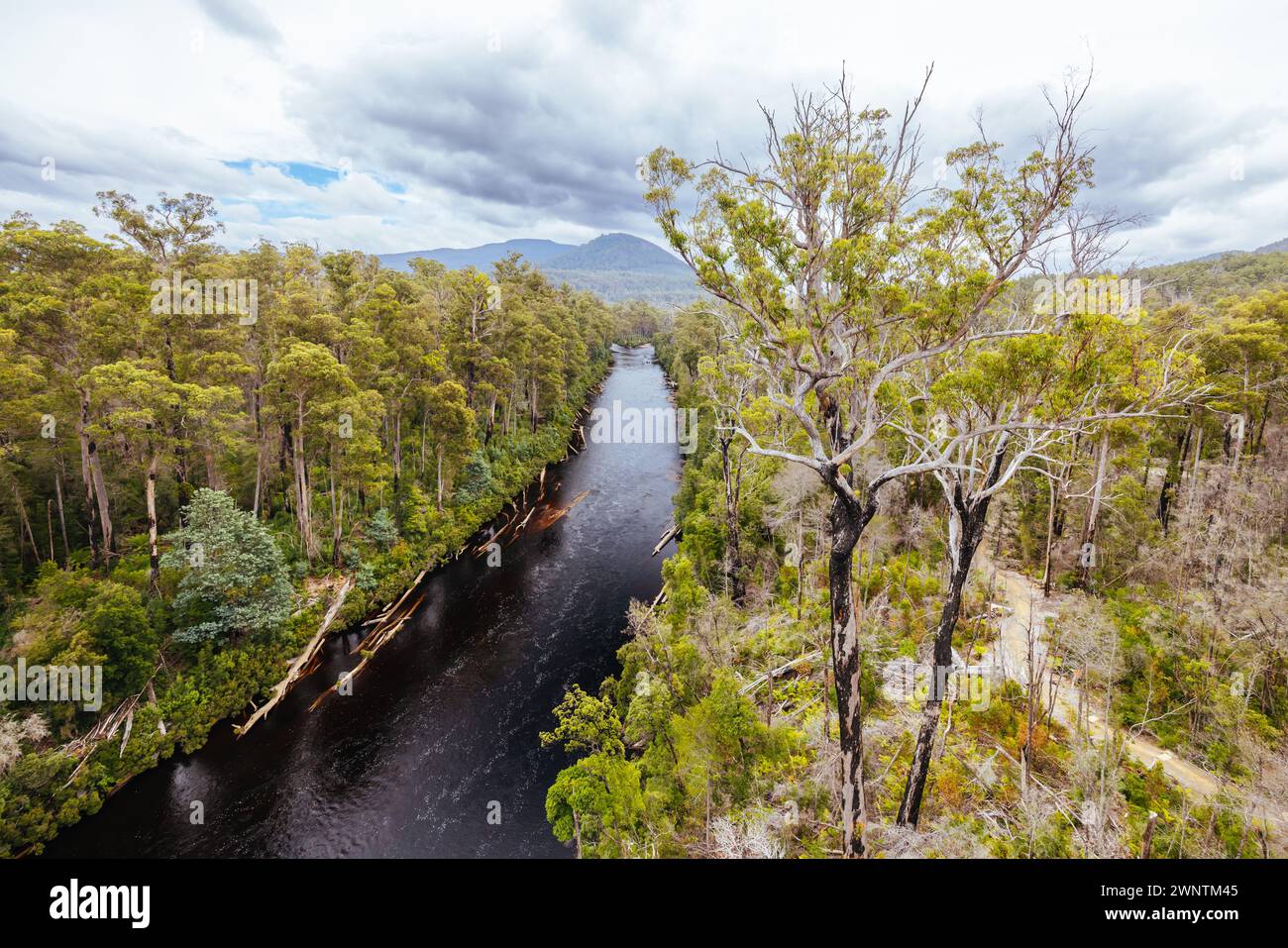 Tahune Airwalk landscape around the Huon River on a cloudy summer's day ...