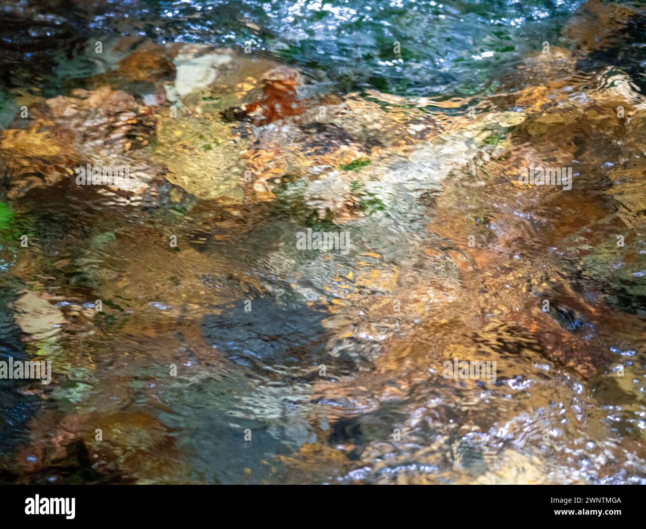 Background Water surface in Bwindi Impenetrable National Park, Uganda ...