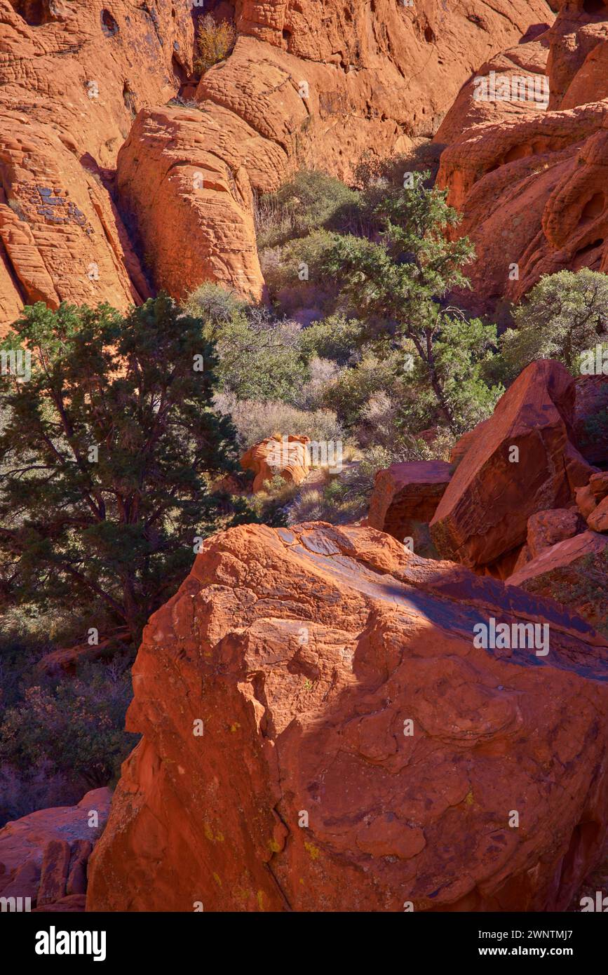 Red Rocks Canyon - Nevada, USA Stock Photo - Alamy