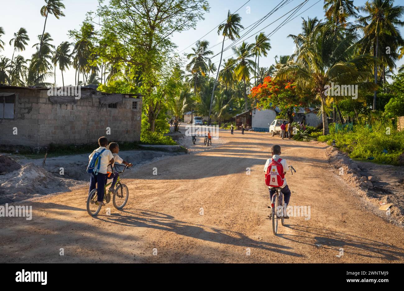 Three young boys on two bicycles cycle to school in the morning ...