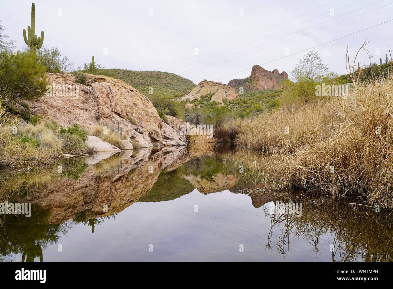 Tortilla Creek along Arizona's infamous Apache Trail Stock Photo - Alamy