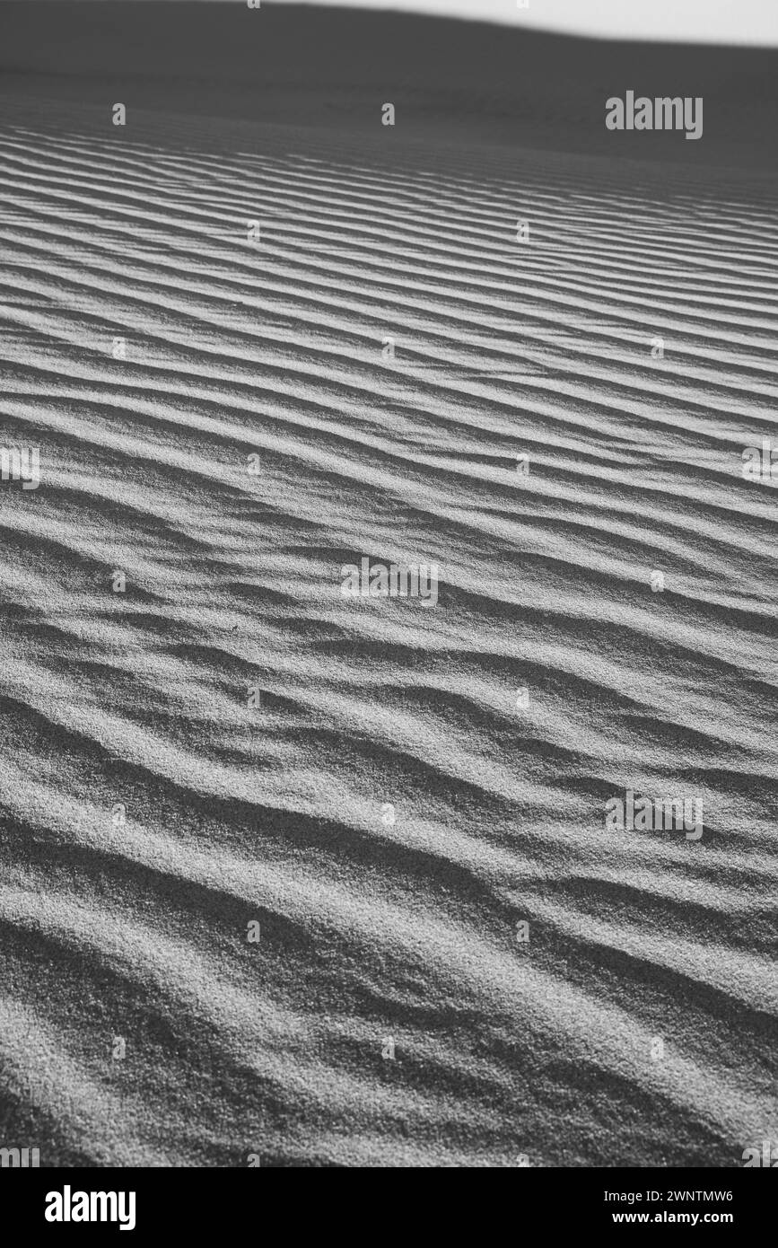 Wind blown sand ripples in a desert Stock Photo - Alamy