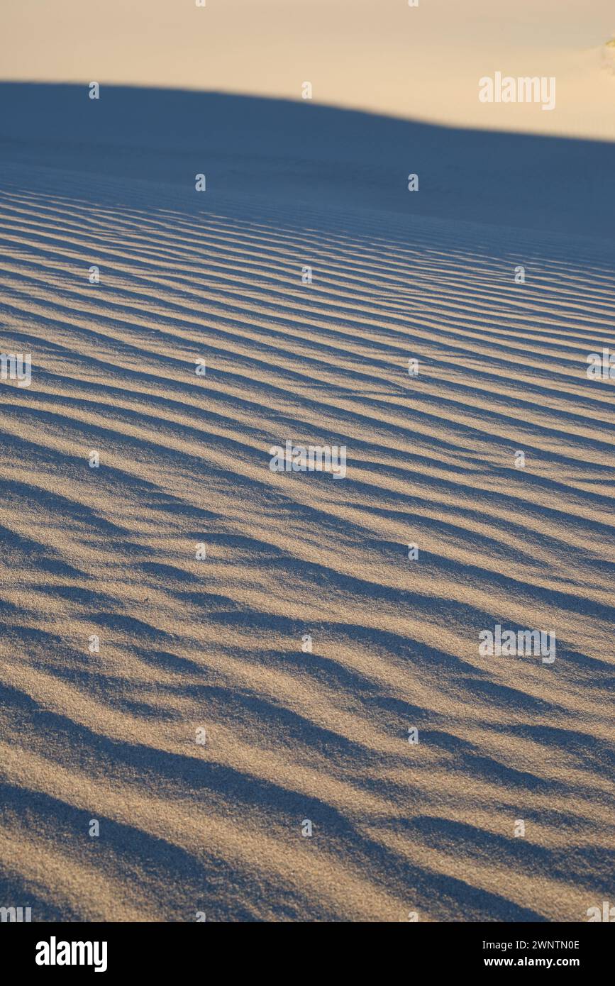 Sand ripples in a desert Stock Photo - Alamy
