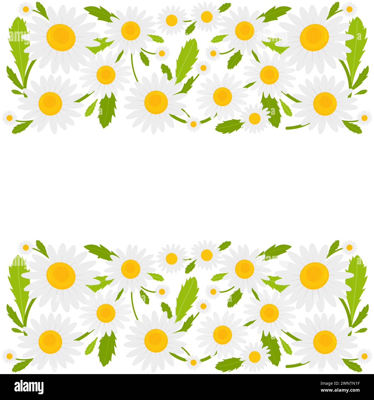 Yellow Daisy Flower Border Clipart Page 5 Customize 522+ Flower Page