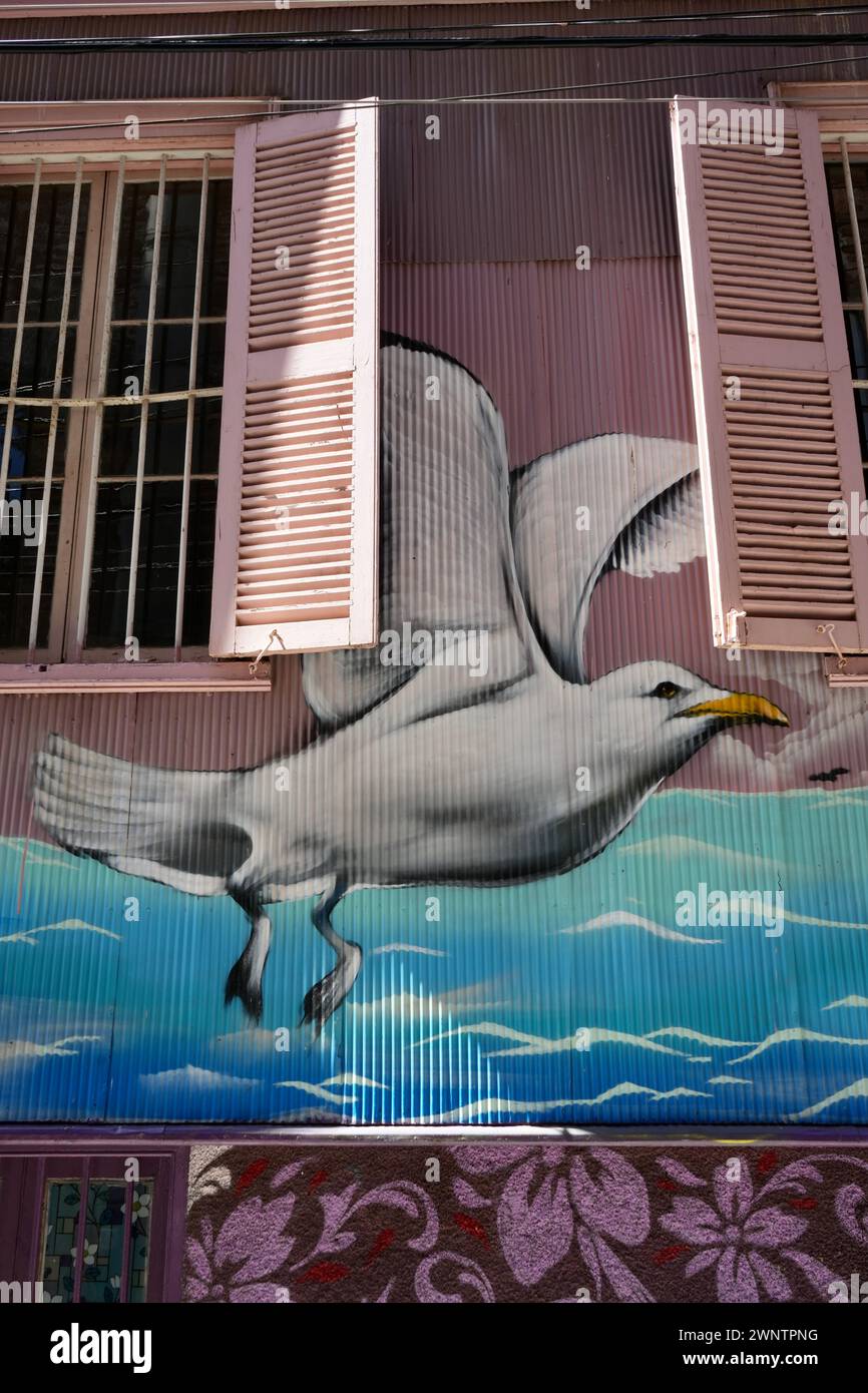 Street art seagull painted on walls in the Paseo Yugoslavo area ...