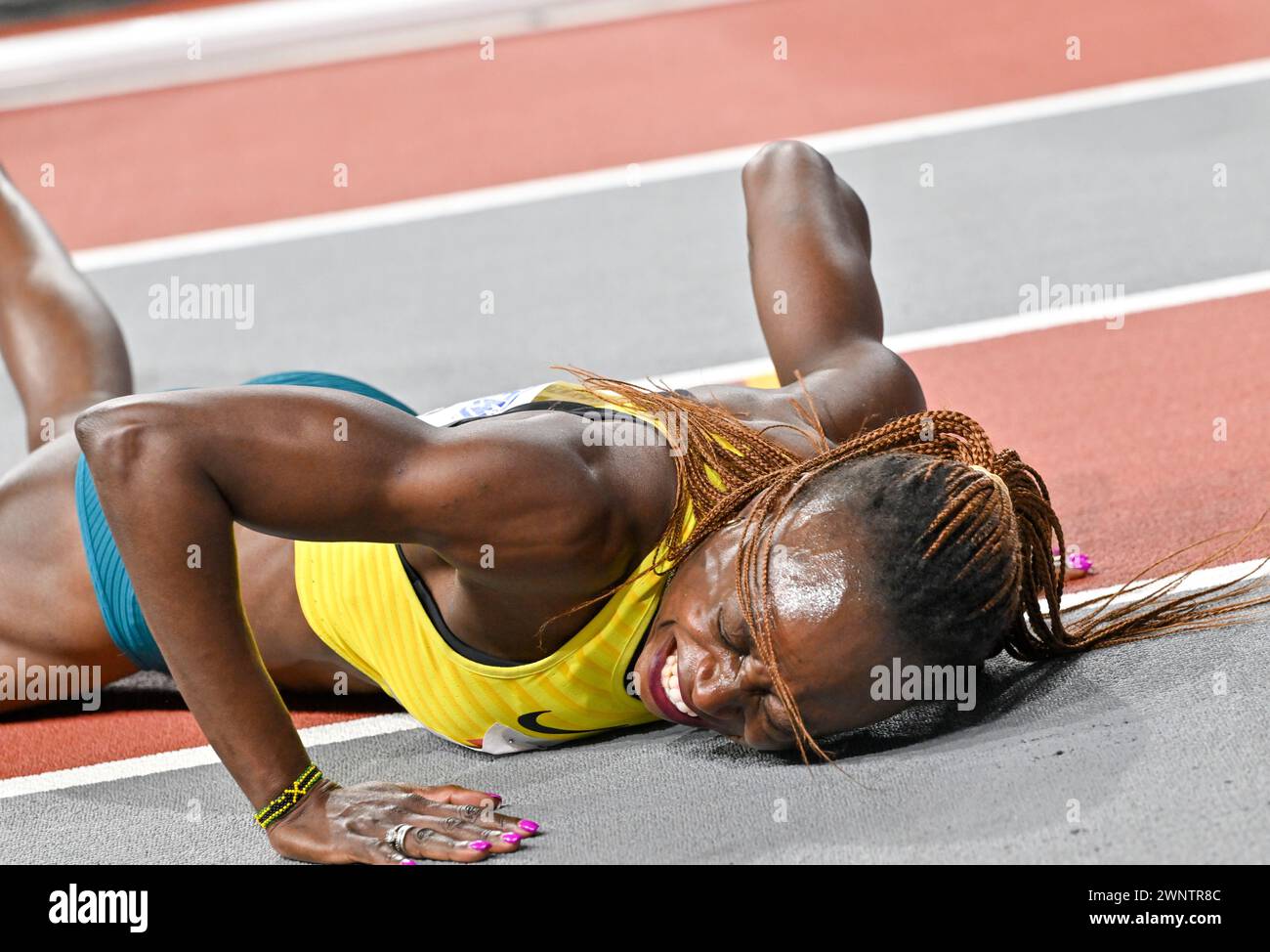 Noelie yarigo 2024 hi-res stock photography and images - Alamy