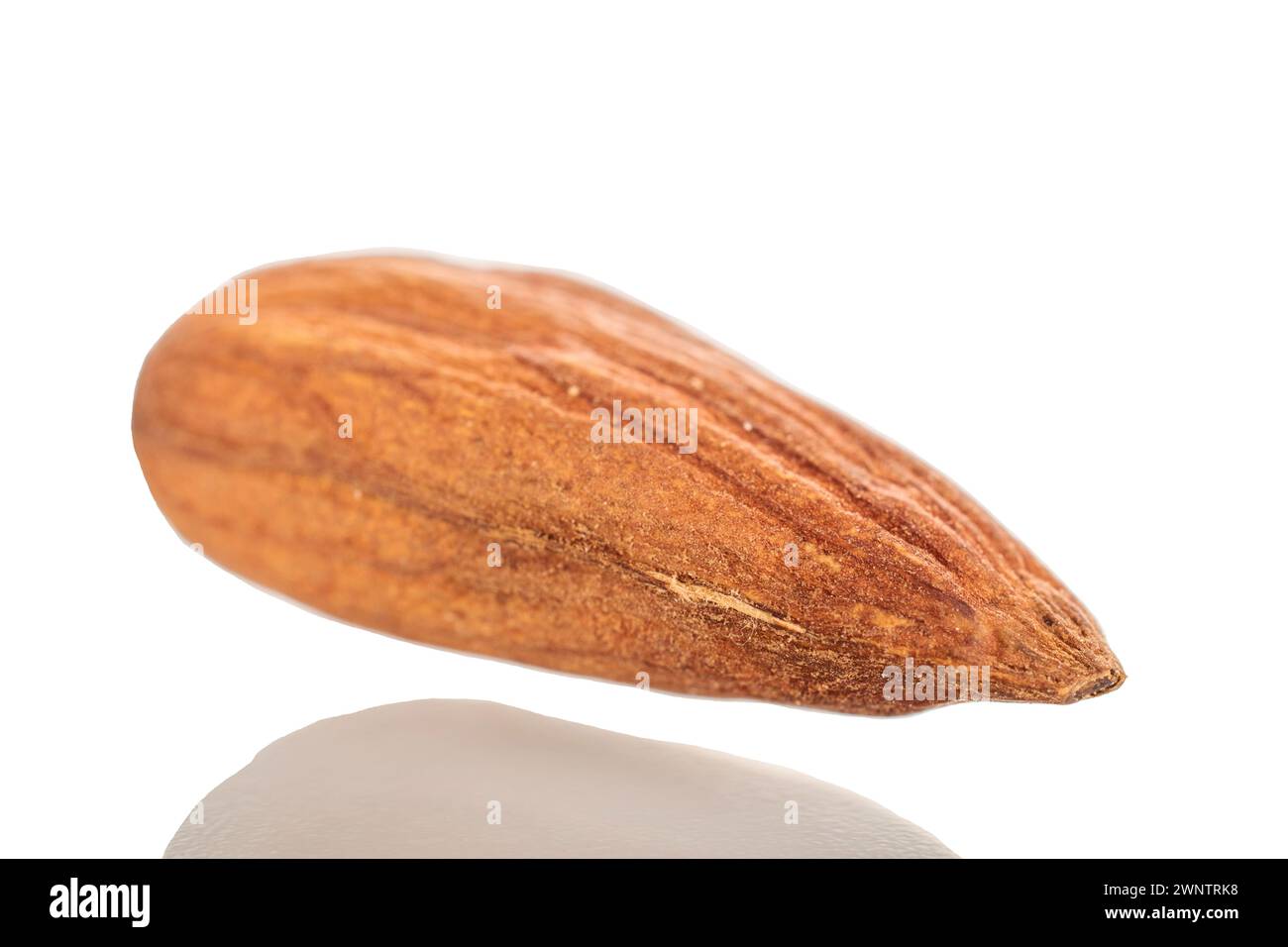 One roasted almond, macro, isolated on white background Stock Photo - Alamy