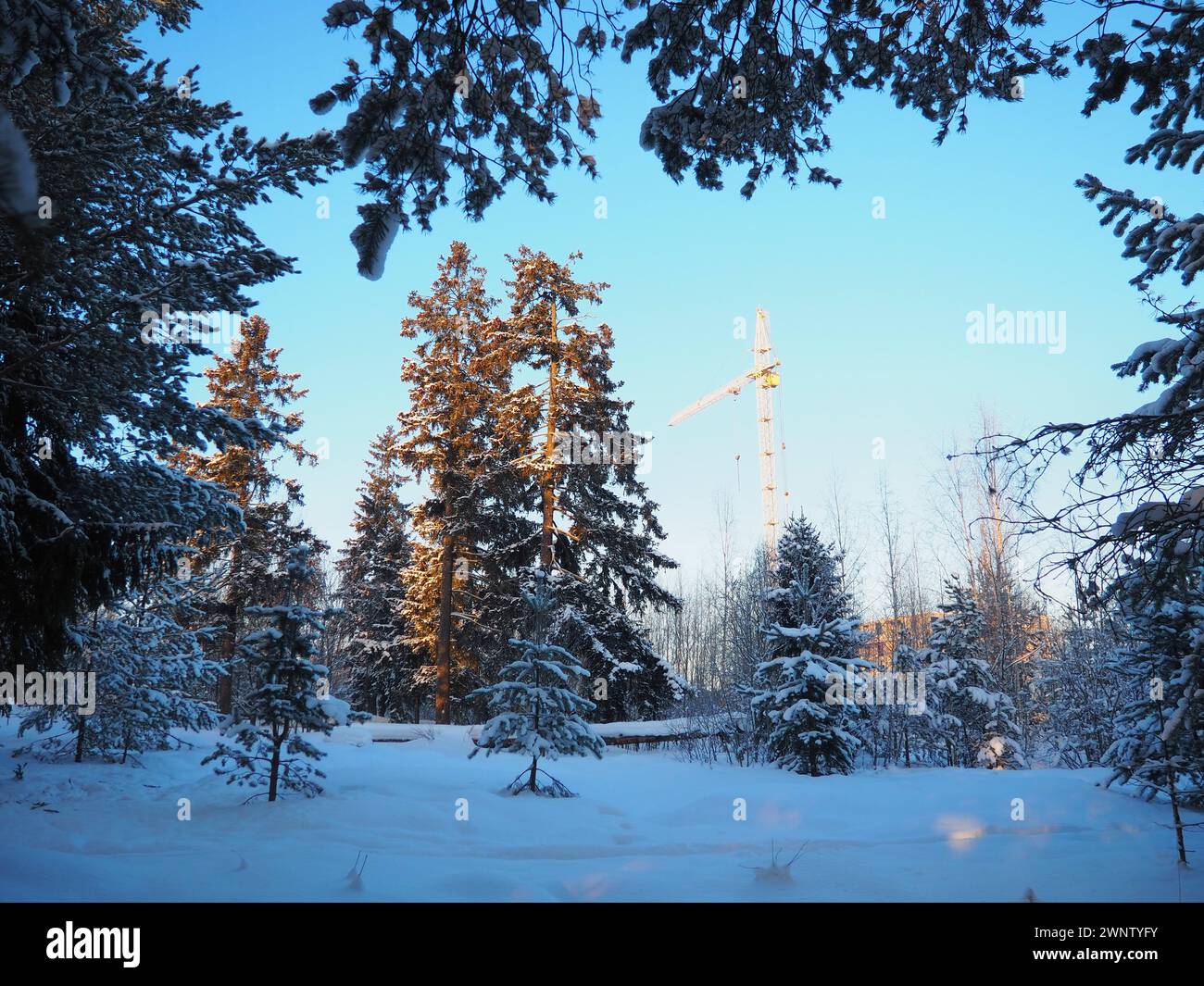 Disappearance of forests hi-res stock photography and images - Alamy