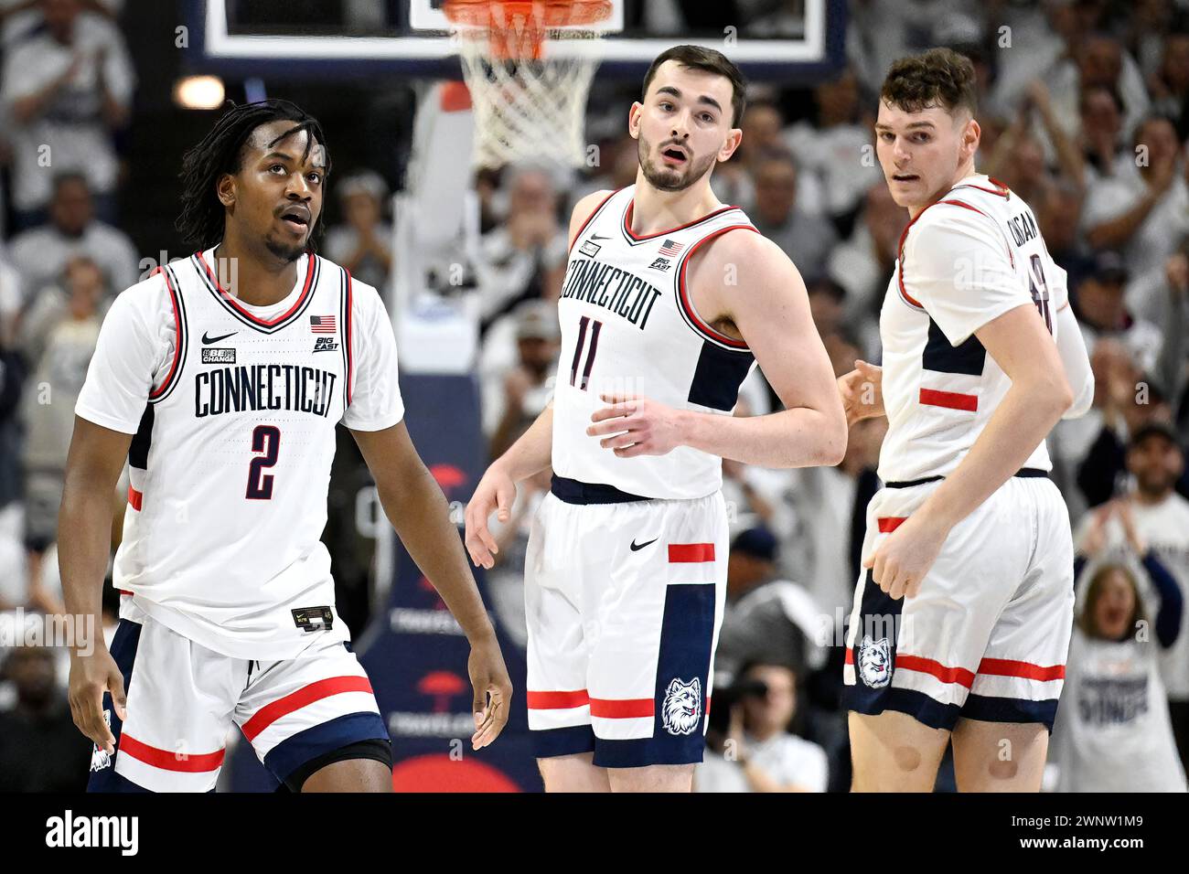 UConn guard Tristen Newton (2), UConn forward Alex Karaban (11), and ...