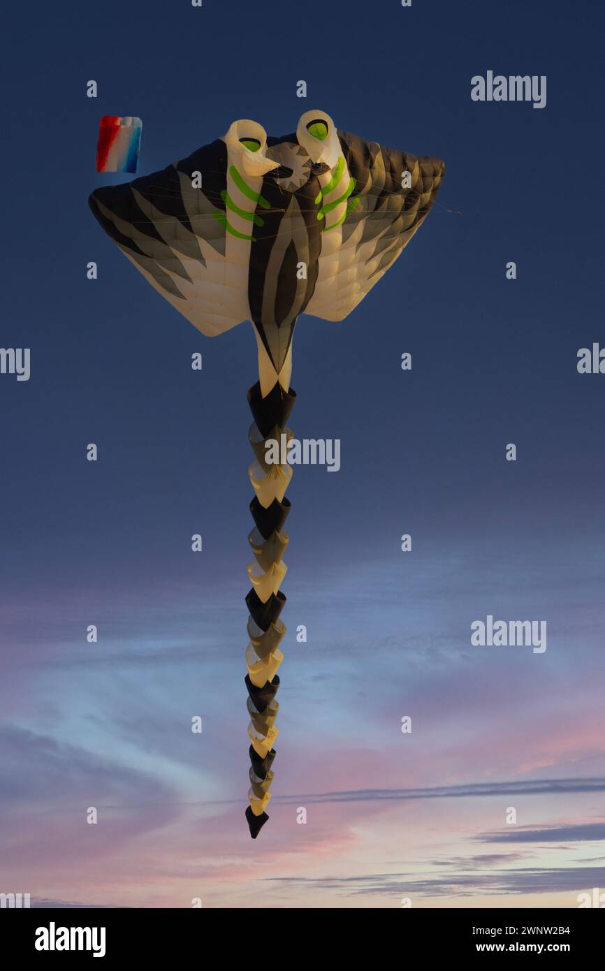 20th January Abudhabi UAE. Beautiful and different types of Kites from ...