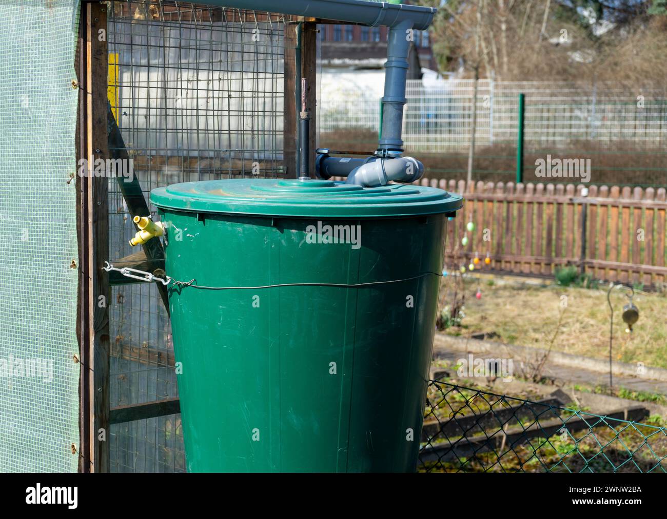 Green rain barrel behind an arbor in the garden Stock Photo - Alamy