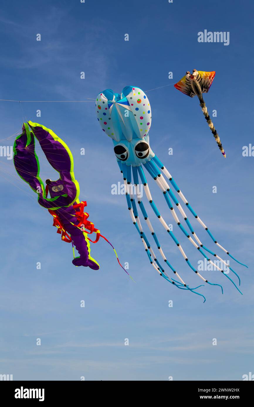 20th January Abudhabi UAE. Beautiful and different types of Kites from ...