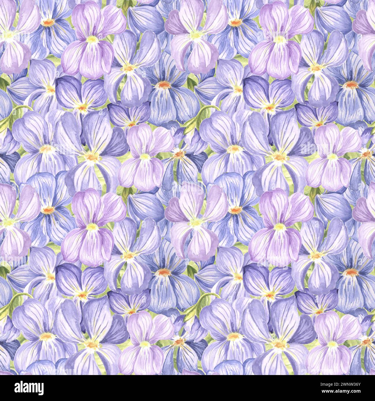 Seamless pattern from wild violets with green leaves. Hand drawn ...