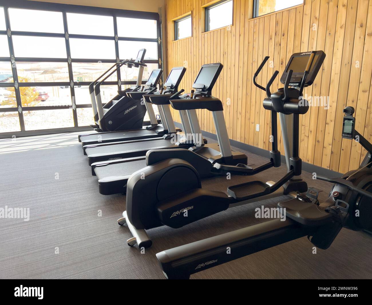 Expansive Gym Space with Modern Equipment and Natural Light Stock Photo ...