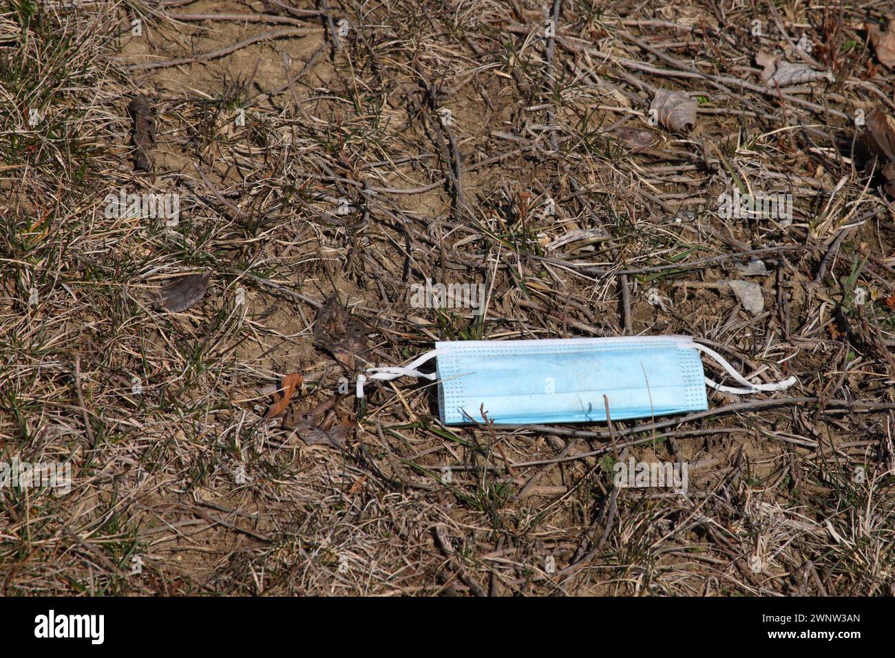 Liter (disposable face mask) laying in grass along a roadside Stock ...