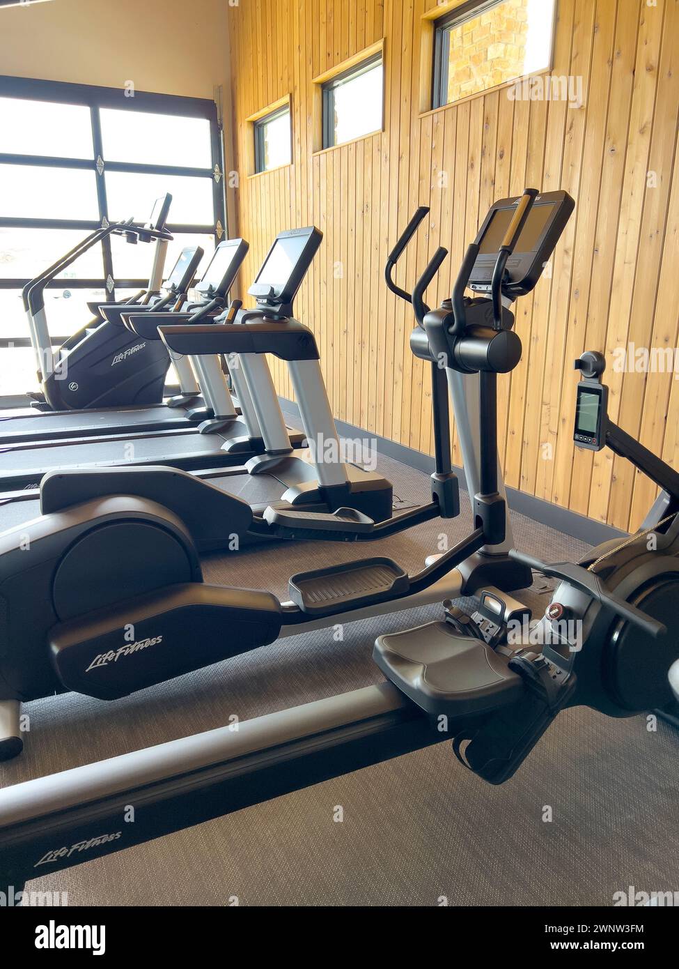 Expansive Gym Space with Modern Equipment and Natural Light Stock Photo ...
