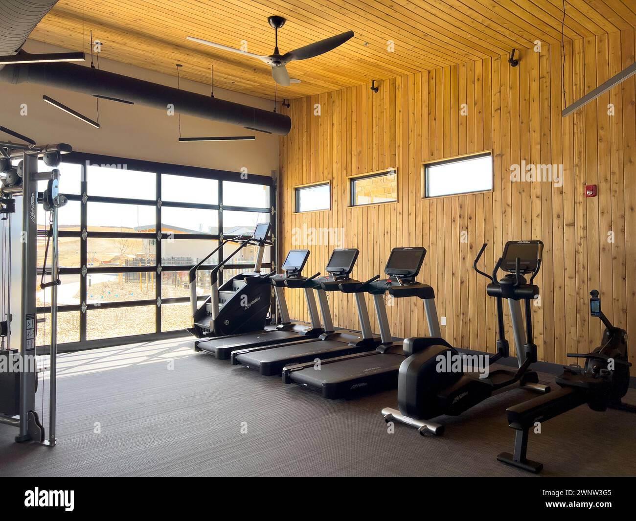 Expansive Gym Space with Modern Equipment and Natural Light Stock Photo ...