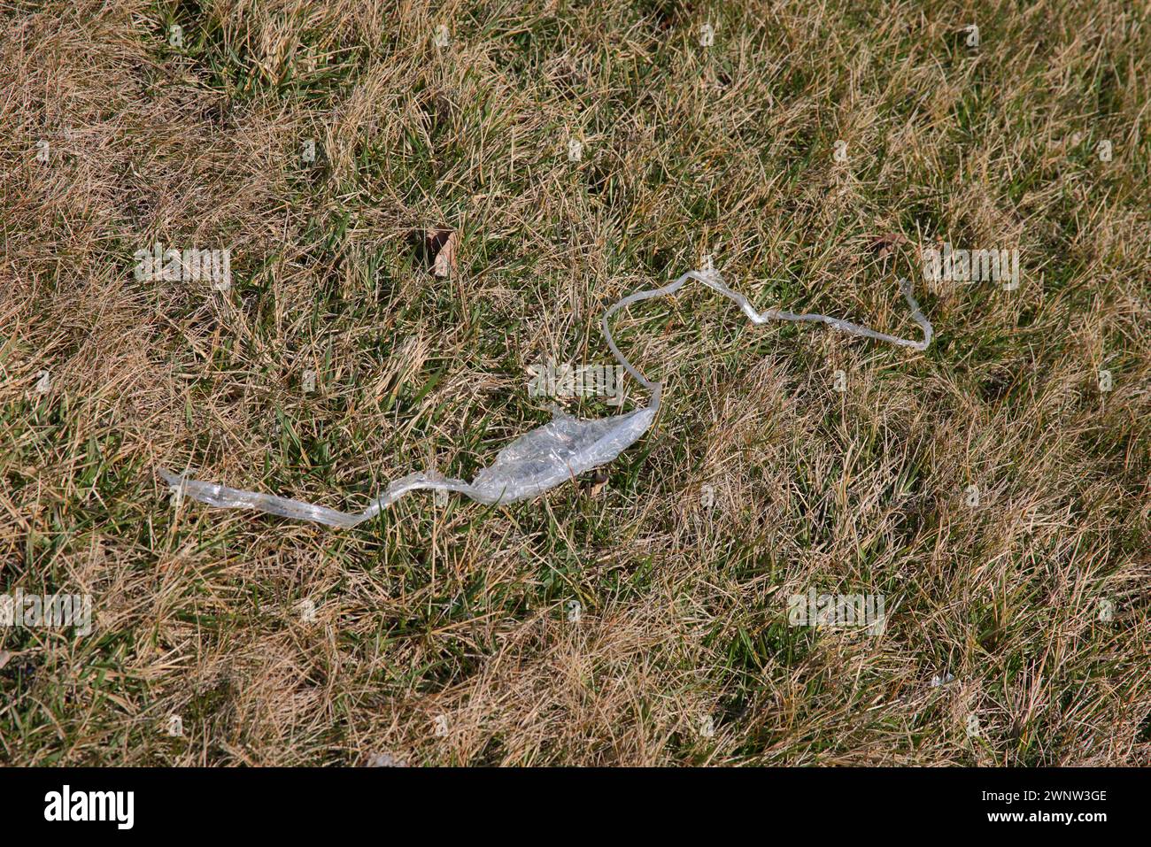Plastic litter laying in grass along a roadside Stock Photo - Alamy