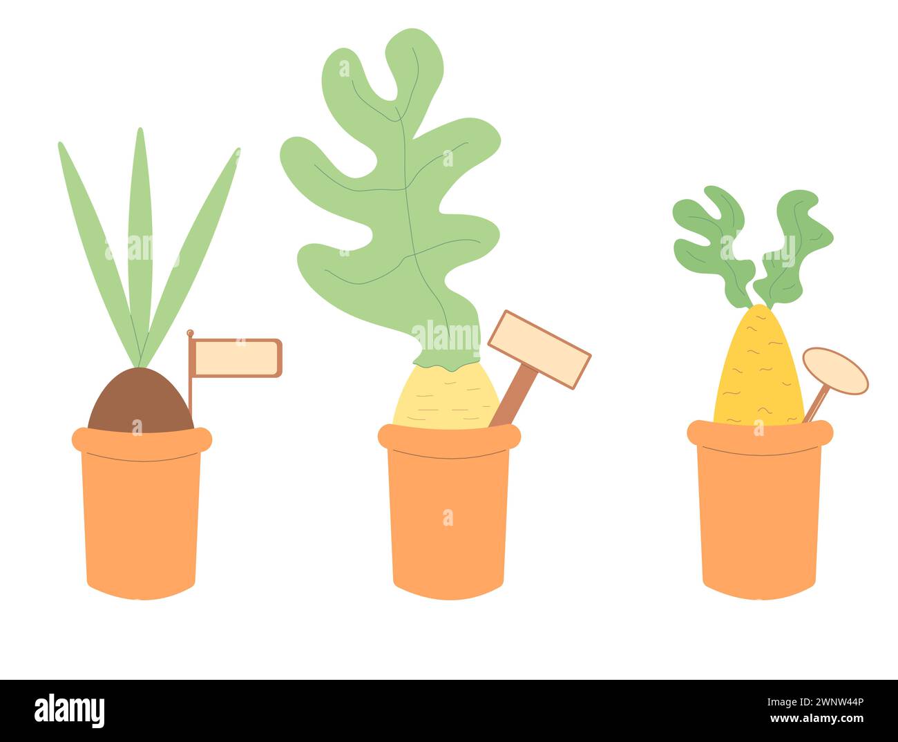 Growing plants. Gardening element isolated on white background. Spring ...