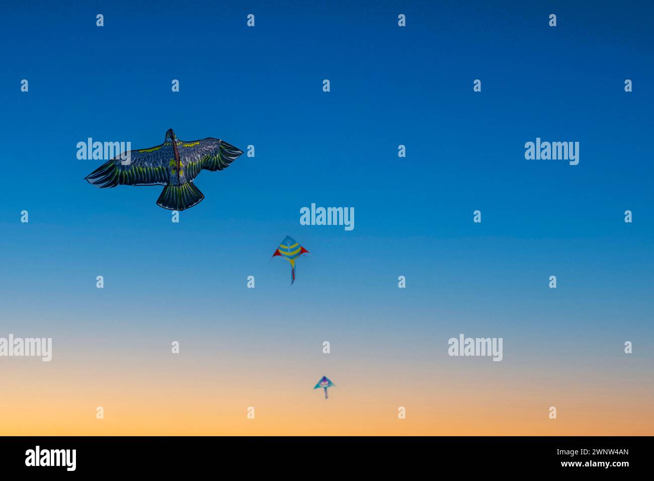 20th January Abudhabi UAE. Beautiful and different types of Kites from ...