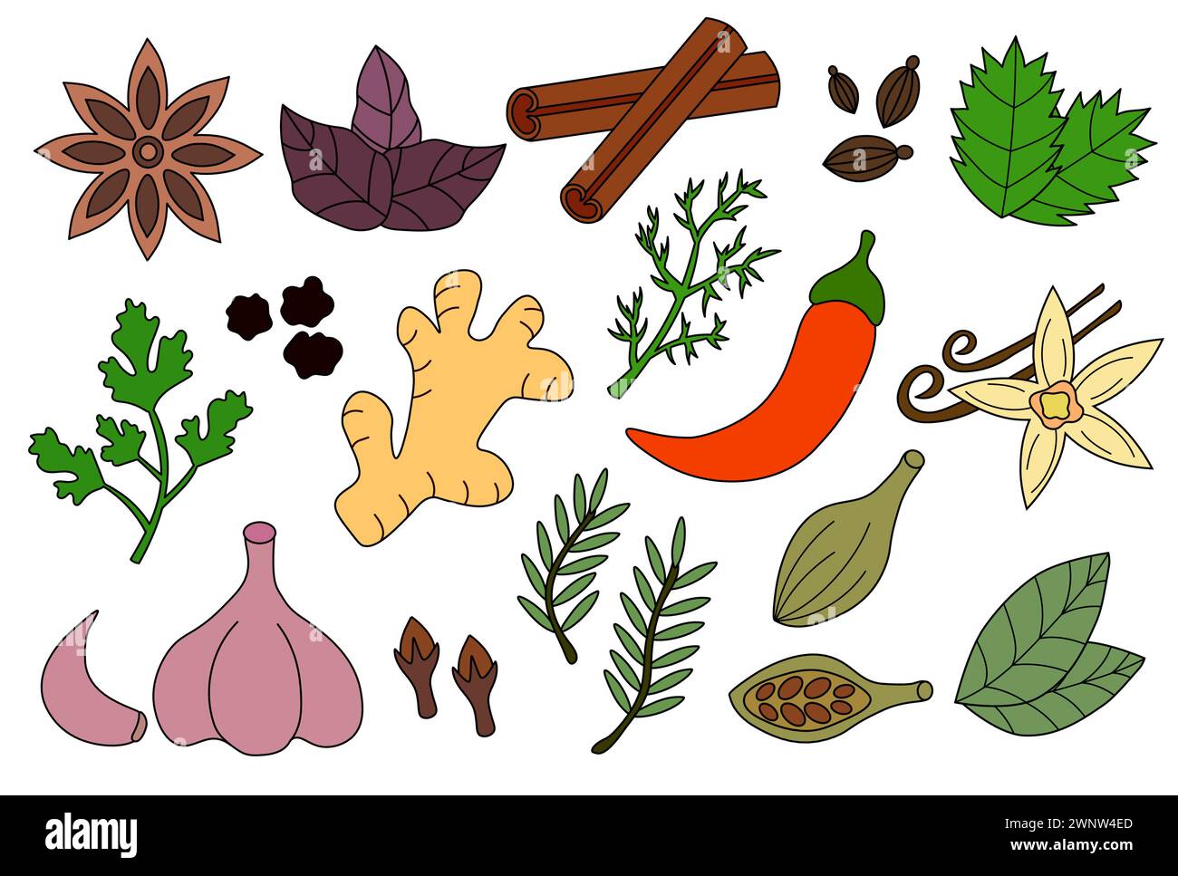 Set spices, condiments and herbs. Doodle collection icon, logo ...