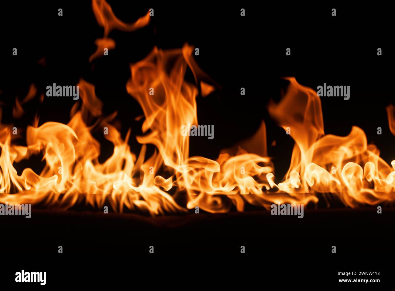 firestorm. Fire burning. Bright burning flames on a black background ...