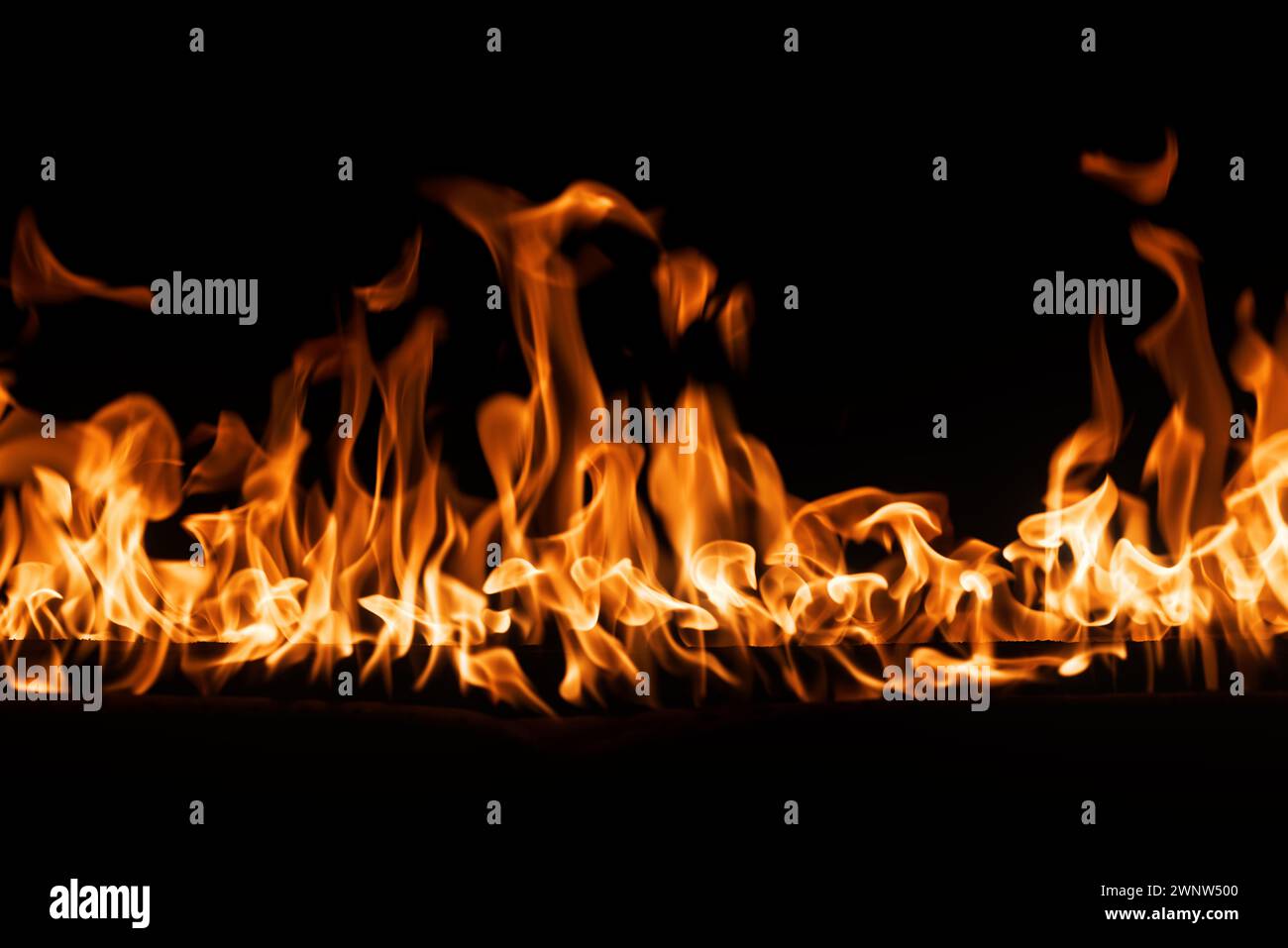 firestorm. Fire burning. Bright burning flames on a black background ...