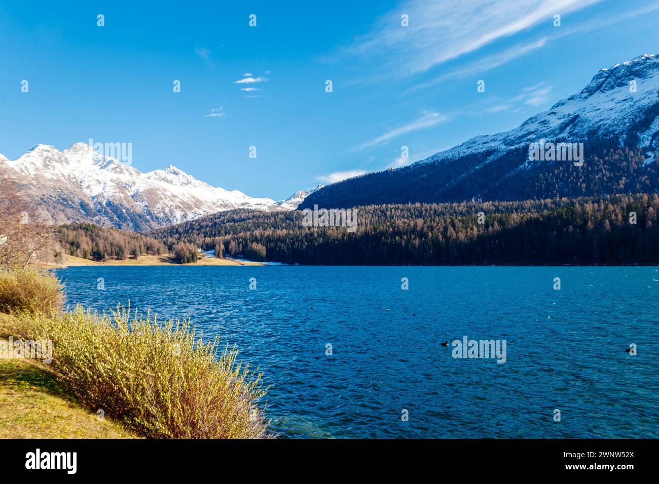 St moritz town switzerland summer hi-res stock photography and images ...